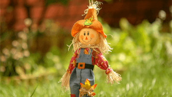 Scarecrow Jigsaw Puzzle | Play Scarecrow Jigsaw Puzzle on PrimaryGames